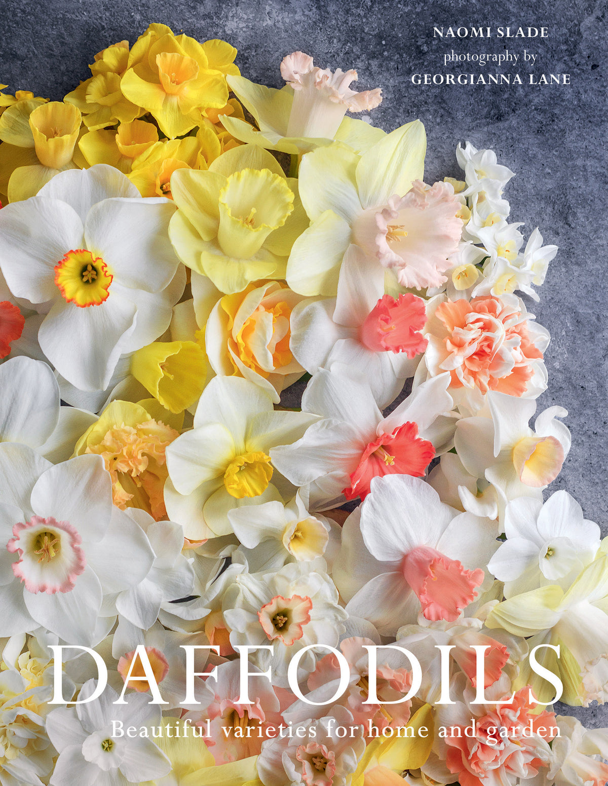 Daffodils Book — Menus and Music
