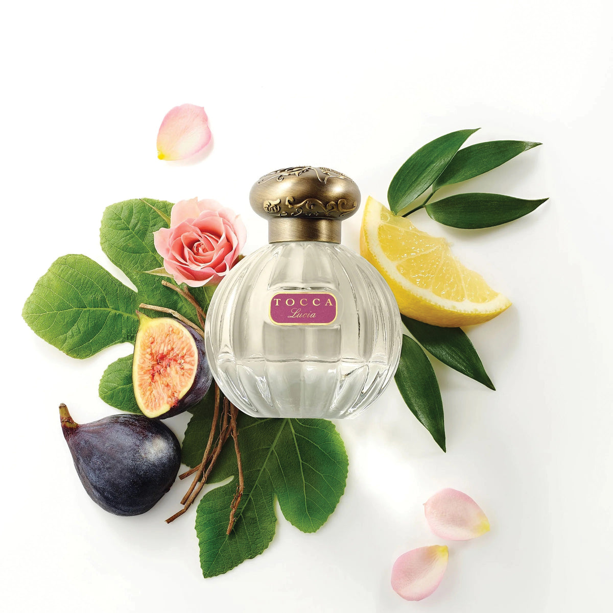 Tocca Perfume - Lucia — Menus and Music