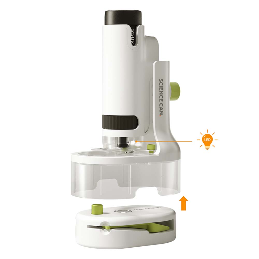 Portable Microscope for Kids by Hape Toys — Menus and Music